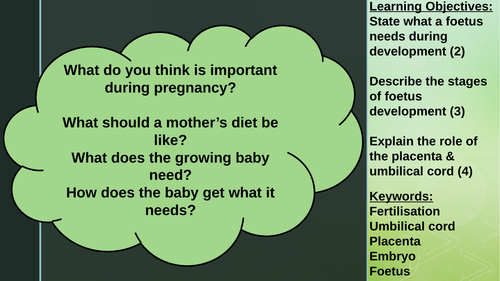 Development of the Embryo | Teaching Resources