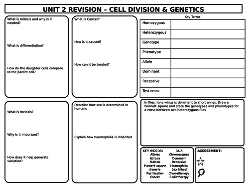 GCSE Biology Cell Division & Genetics Revision Mat | Teaching Resources