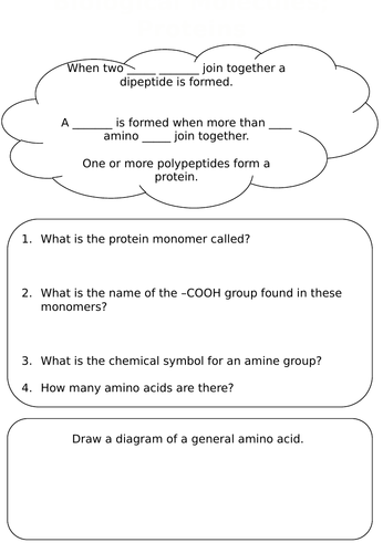 Biological Molecules Proteins Revision | Teaching Resources