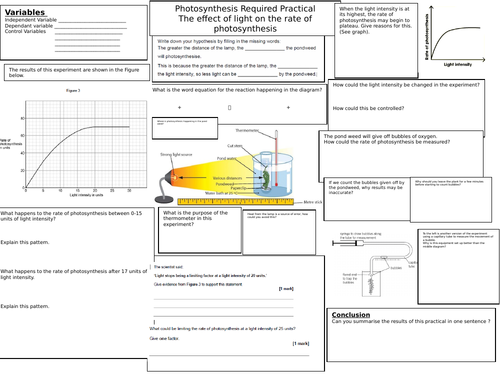 NEW GCSE 9-1 PHOTOSYNTHESIS REQUIRED PRACTICAL REVISION SHEET ...