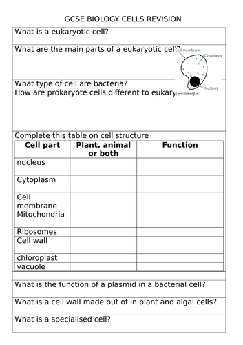 GCSE CELLS REVISION AQA 9-1 | Teaching Resources