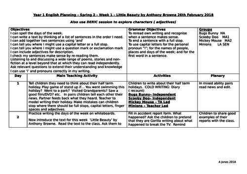 Little Beauty by Anthony Browne literacy planning Year 1 | Teaching ...