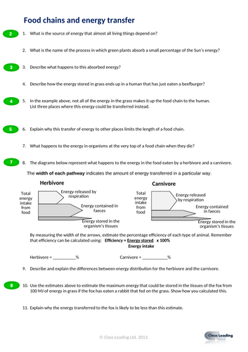 Food chains & energy transfer (updated) | Teaching Resources