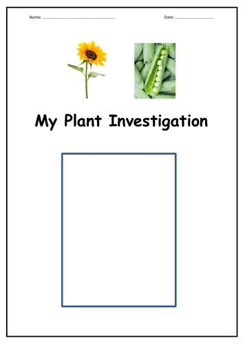 My Plant Investigation | Teaching Resources