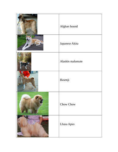 Dog evolution | Teaching Resources