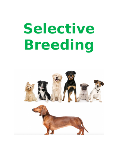 Selective Breeding | Teaching Resources