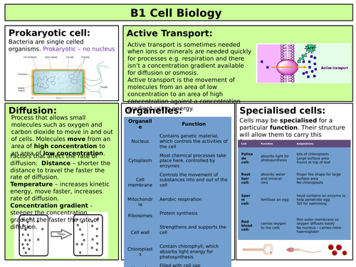 AQA combined Science Biology revision mats (complete course) | Teaching ...