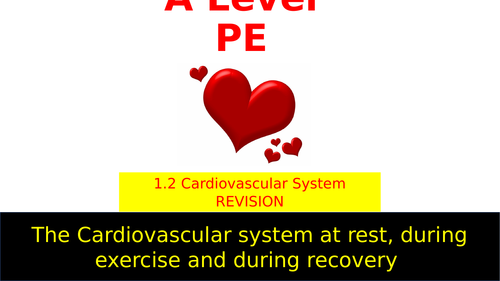 OCR A Level PE Cardiovascular system revision lesson | Teaching Resources OCR A Level PE Cardiovascular system revision lesson | Teaching Resources