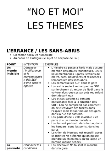 Themes in No et moi Delphine de Vigan | Teaching Resources