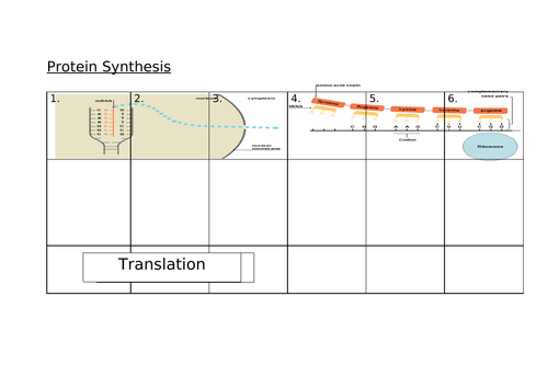Protein Synthesis - Full Lesson | Teaching Resources Protein Synthesis - Full Lesson | Teaching Resources