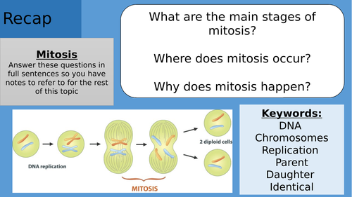 Meiosis | Teaching Resources
