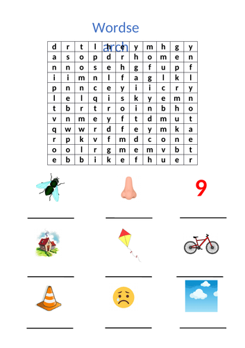 First Level Wordsearch | Teaching Resources