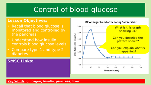 Controlling blood glucose | Teaching Resources