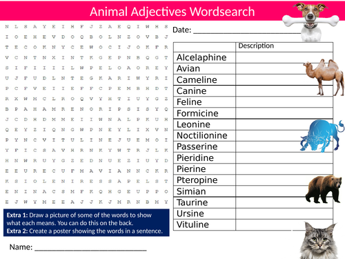 Animal Adjectives Wordsearch Sheet Starter Activity Keywords Cover ...