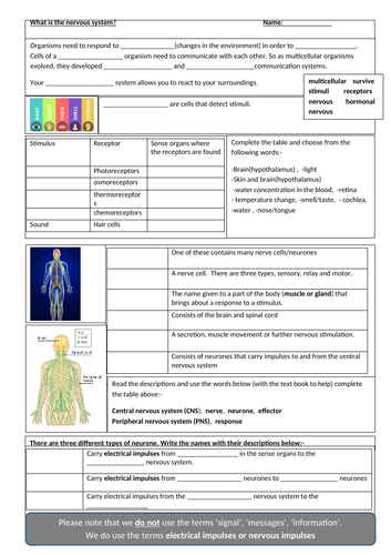 Nervous system, the brain and eye:-AQA GCSE Biology Revision Sheets on ... Nervous system, the brain and eye:-AQA GCSE Biology Revision Sheets on ...