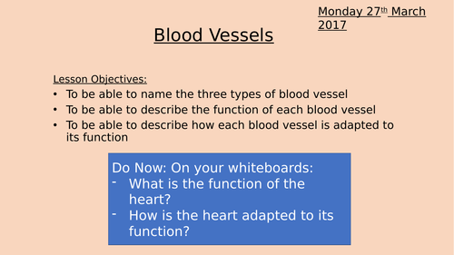 Blood Vessels | Teaching Resources