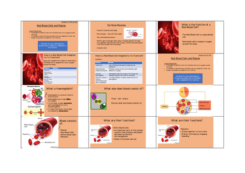 Red Blood Cells and Plasma | Teaching Resources