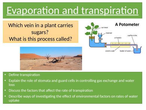Evaporation and transpiration AQA Appropriate | Teaching Resources