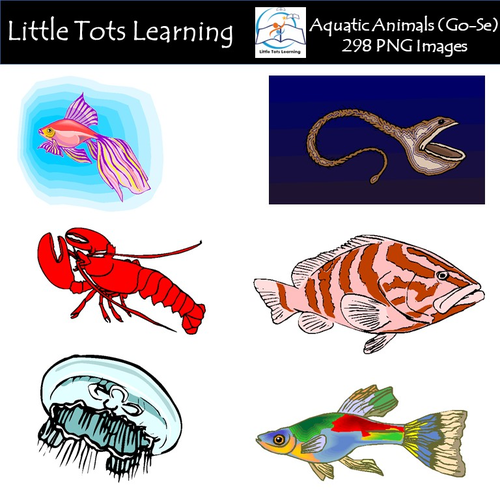 Aquatic Animals (Go-Se) Clip Art - Commerical Use | Teaching Resources