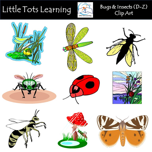 Bugs & Insects Clip Art (D-Z) - Commercial Use | Teaching Resources