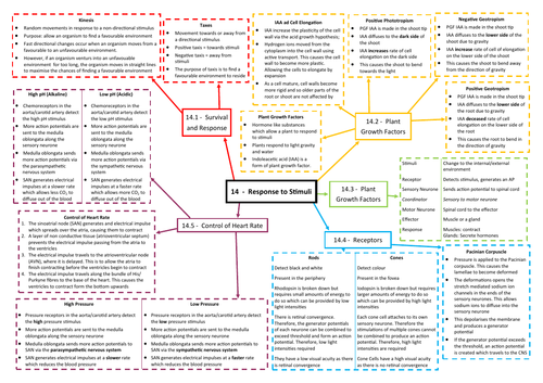Response to Stimuli Revision Mind Map - AQA AS/A Level Biology (7401/ ...