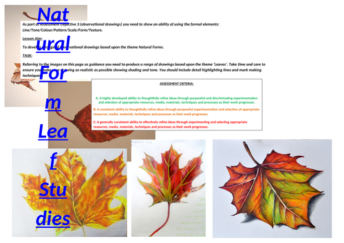 Observational Drawings: Leaves | Teaching Resources