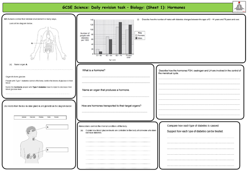 GCSE Biology Hormones: Revision: Patchwork | Teaching Resources