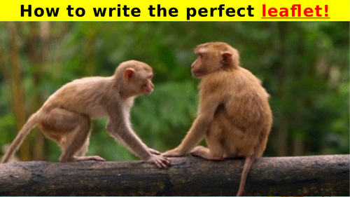 9-1 GCSE English Language - Writing a grade 9 LEAFLET SOW (paper 2 ... 9-1 GCSE English Language - Writing a grade 9 LEAFLET SOW (paper 2 ...