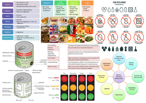 Revision Summary Sheet: Food Choices | Teaching Resources Revision Summary Sheet: Food Choices | Teaching Resources