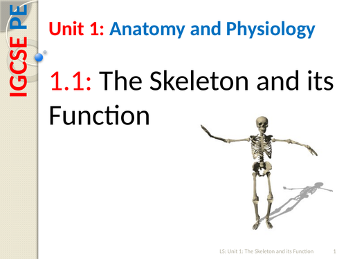 Igcse Pe Spec 2018 1 1 The Skeleton And Its Function Teaching