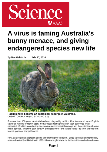 Ezine article: A virus controlling Australia's bunny menace | Teaching ...