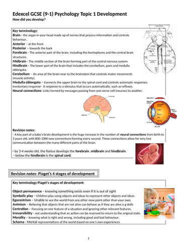 Edexcel 9-1 GCSE Psychology Topic 1 revision guide | Teaching Resources Edexcel 9-1 GCSE Psychology Topic 1 revision guide | Teaching Resources