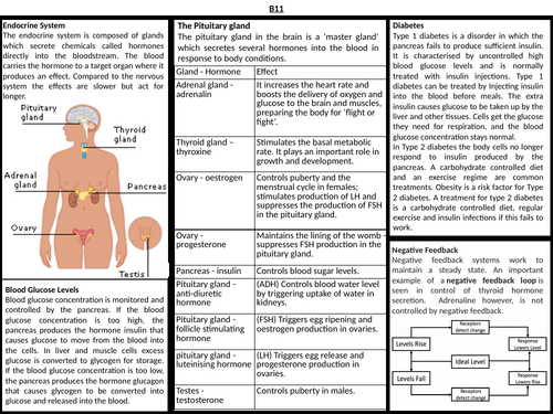AQA 9-1 (2016) GCSE Biology Trilogy: B11 Knowledge Organiser | Teaching Resources