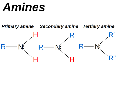 Amines | Teaching Resources