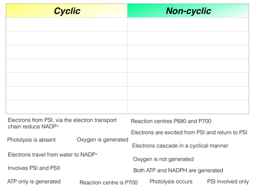 Non-cyclic_vs_cyclic | Teaching Resources