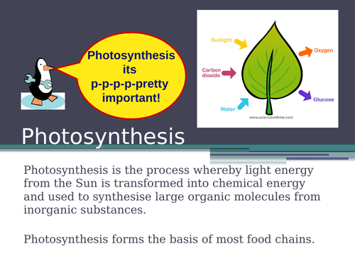 A2 Photosynthesis | Teaching Resources