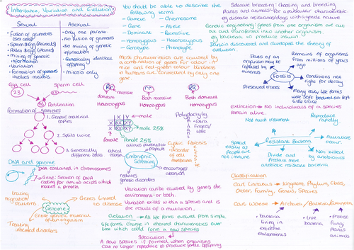 Inheritance and Evolution Revision Mat | Teaching Resources Inheritance and Evolution Revision Mat | Teaching Resources