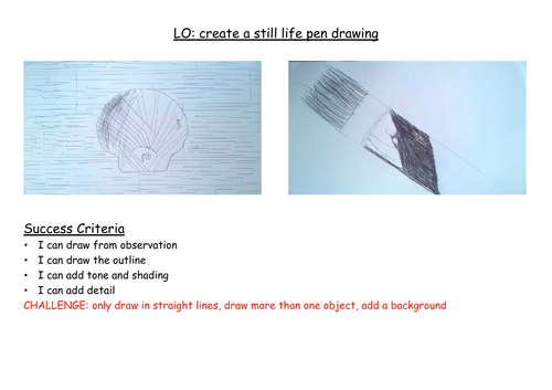 Still Life in Biro | Teaching Resources