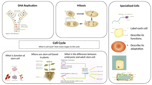 B2 GCSE 1-9 Revision Placemat OCR Gateway Biology | Teaching Resources