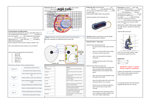 1. Cell Biology Revision Broadsheet (AQA Biology GCSE) | Teaching Resources