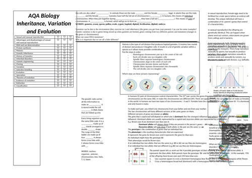 6. Inheritance, Variation and evolution Revision Broadsheet (AQA Combined Science Trilogy GCSE ...