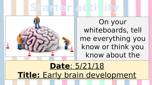 NEW SPEC AQA GCSE PSYCH - Development - Early brain development ... NEW SPEC AQA GCSE PSYCH - Development - Early brain development ...