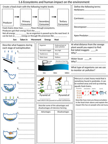 1.6 Ecosystems revision sheet | Teaching Resources