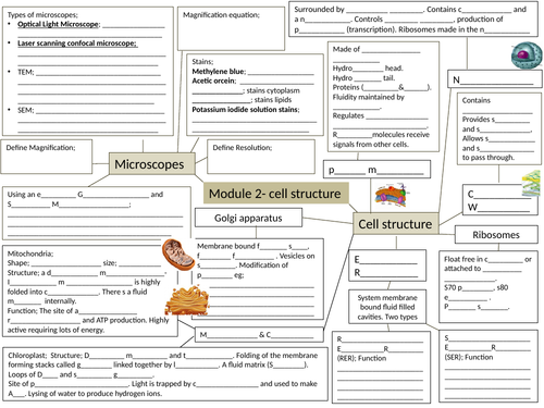 OCR A level biology revision powerpoint and gap fill 2.1 cell structure ...