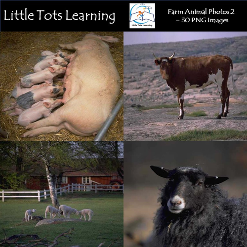 Farm Animal Photos - Photo Pack 2 -Personal or Commercial Use ...