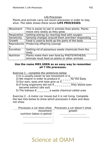 Life Processes worksheet - Low Ability | Teaching Resources
