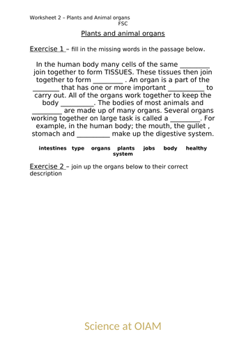 Plant and animal organs | Teaching Resources