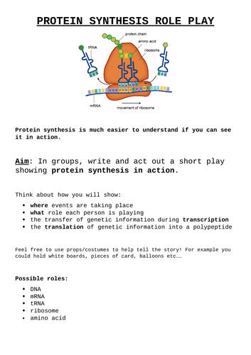 Protein Synthesis Role Play | Teaching Resources