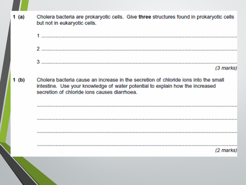 Heart structure lesson and simple cardiac cycle. A Level Biology, AQA ...