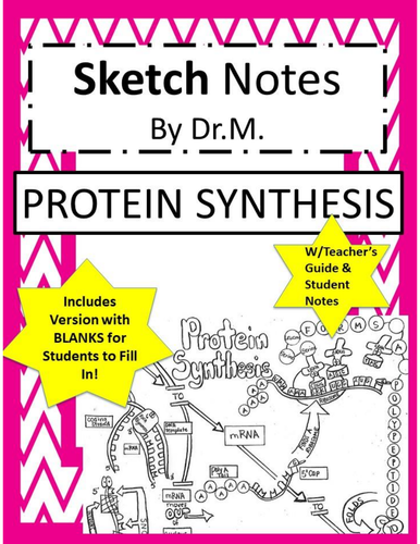 Biology Sketch Notes's Shop - Teaching Resources - TES